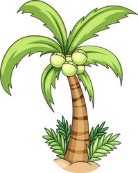 Coconut Tree Vector Images (over 33,000)