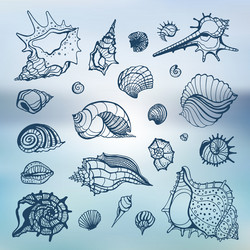 Set isolated seashell sketches or conch shell Vector Image