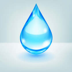 Water drop and leaf Royalty Free Vector Image - VectorStock
