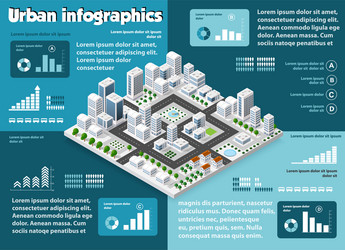 City infographics of the town with houses Vector Image