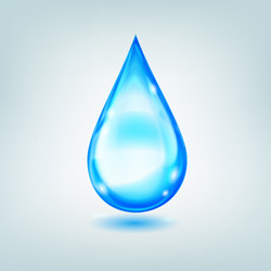 Water drop and leaf Royalty Free Vector Image - VectorStock