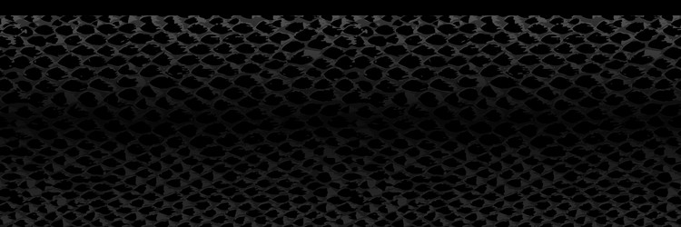 Snake python skin texture seamless pattern black Vector Image