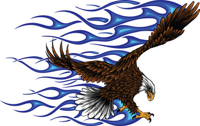 Blue flame bird Royalty Free Vector Image - VectorStock