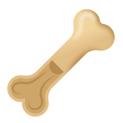 Bone Marrow Vector Images (over 900)