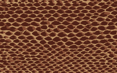 Snake Skin Vector Images (over 6,900)