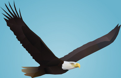 Eagle Vector Images (over 73,000)