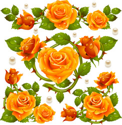 Yellow rose circle frame Royalty Free Vector Image