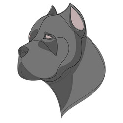 Continuous line drawing of cane corso dog head Vector Image