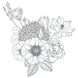 Bouquet of flowers lisianthus and orchid Vector Image