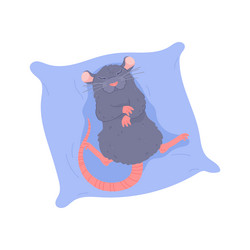 Cute rat sleeping furry animal - cartoon flat Vector Image