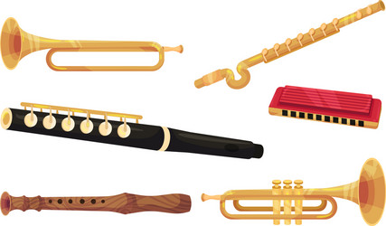 Wind musical instruments isolated on white Vector Image