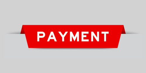 Megaphone icon with speech bubble in word payment Vector Image