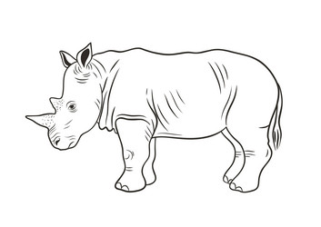 Rhino Head Outline Vector Images (over 480)