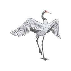 Friendly cute red-crowned or japanese crane icon Vector Image
