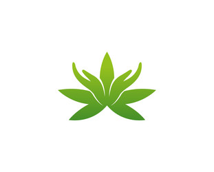 Cannabis leaf Royalty Free Vector Image - VectorStock