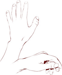 Female hands outline drawing Royalty Free Vector Image