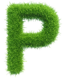 Capital letter p from grass on white Royalty Free Vector