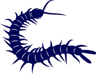 Centipede logo design template silhouette Vector Image