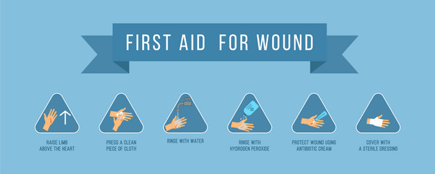 First aid wound Royalty Free Vector Image - VectorStock