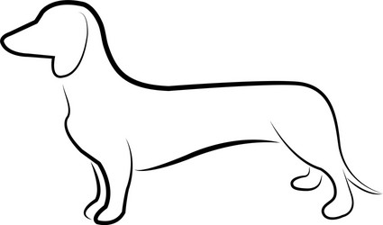 Wiener Dog Drawing