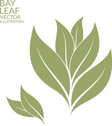 Bay Vector Images (over 15,000)