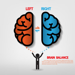 Left analytical and right creativity brain Vector Image