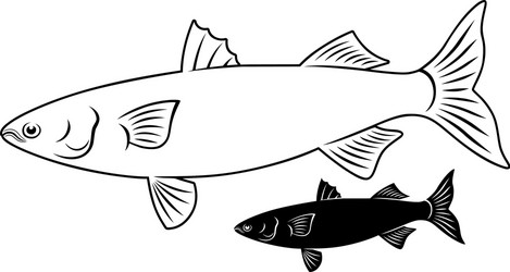 Mullet Vector Images (over 240)