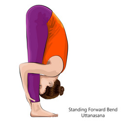 Standing forward bend pose or uttanasana sketch Vector Image