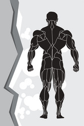 Strong man Royalty Free Vector Image - VectorStock