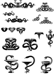 Snake Body Vector Images (over 490)