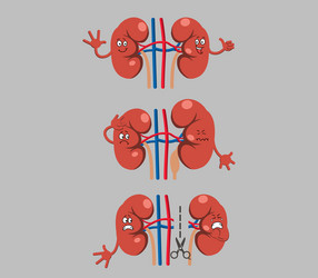Kidney Cartoon Sad Vector Images (77)