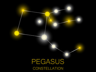 Pegasus Constellation Vector Images (73)