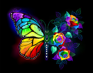Rainbow Butterfly Vector Images (over 4,100)