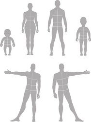 Full length front back human silhouette Royalty Free Vector