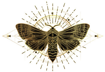 Golden moth over sacred geometry sign isolated Vector Image