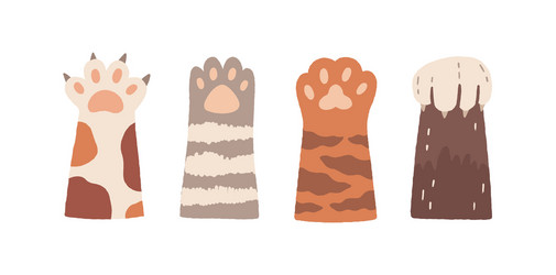 Different cartoon colored cat paws set Royalty Free Vector