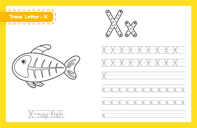Trace letter x uppercase and lowercase alphabet Vector Image