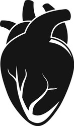 Cardiac Muscle Vector Images (over 1,800)