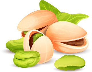 Pista Vector Images (31)