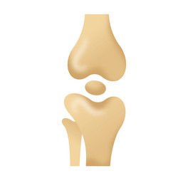 Bone joint Royalty Free Vector Image - VectorStock