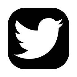 White Twitter Logo Png
