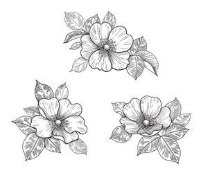 Hand drawn bunch with flowers Royalty Free Vector Image