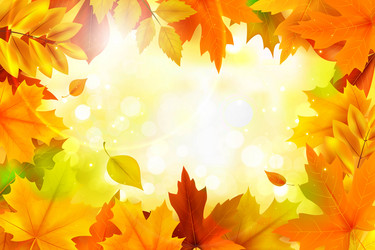 Autumn leaves background design Royalty Free Vector Image