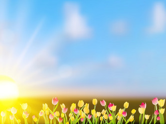 Spring floral border with colorful tulips Vector Image