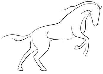 Beautiful black line horses on hind legs white Vector Image