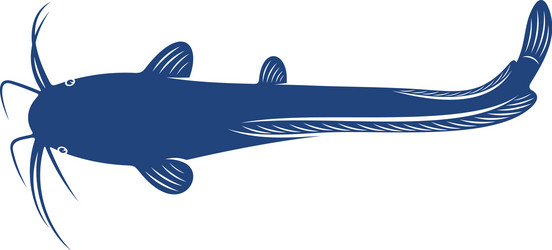 Catfish design creative Royalty Free Vector Image