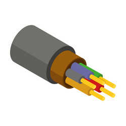 Fiber cable icon isometric Royalty Free Vector Image