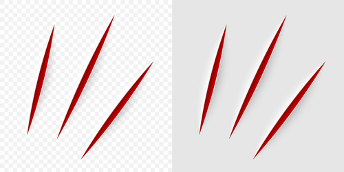 Realistic cut with a office knife Royalty Free Vector Image