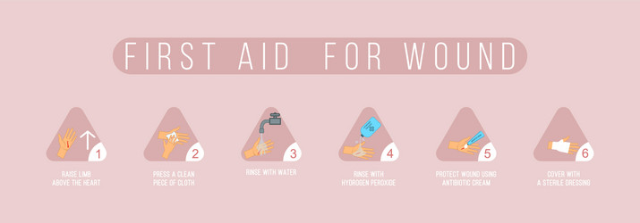First aid wound Royalty Free Vector Image - VectorStock