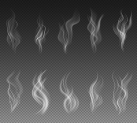 Smoke effect realistic traces in air from Vector Image